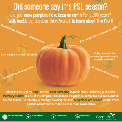 Pumpkin Fact Sheet - CLA